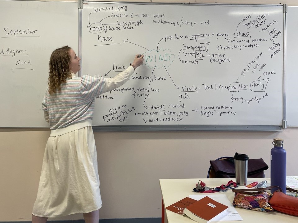 Stephanie Daly - Collyer's