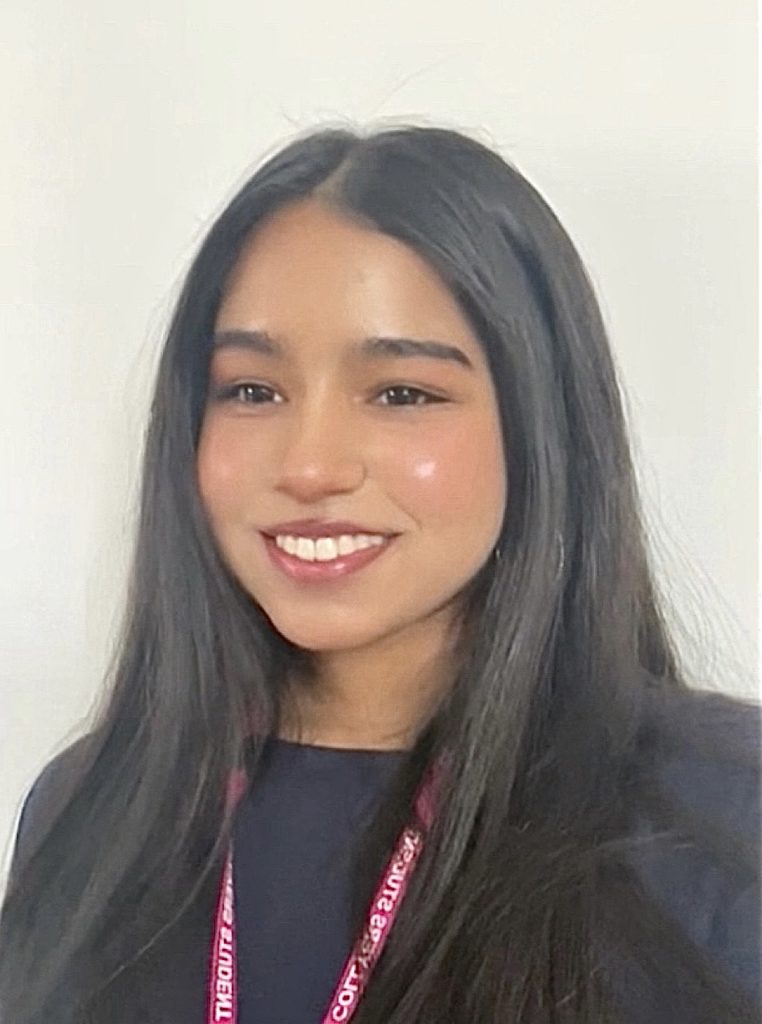 Reema Appointed Chairman of West Sussex Youth Cabinet - Collyer's