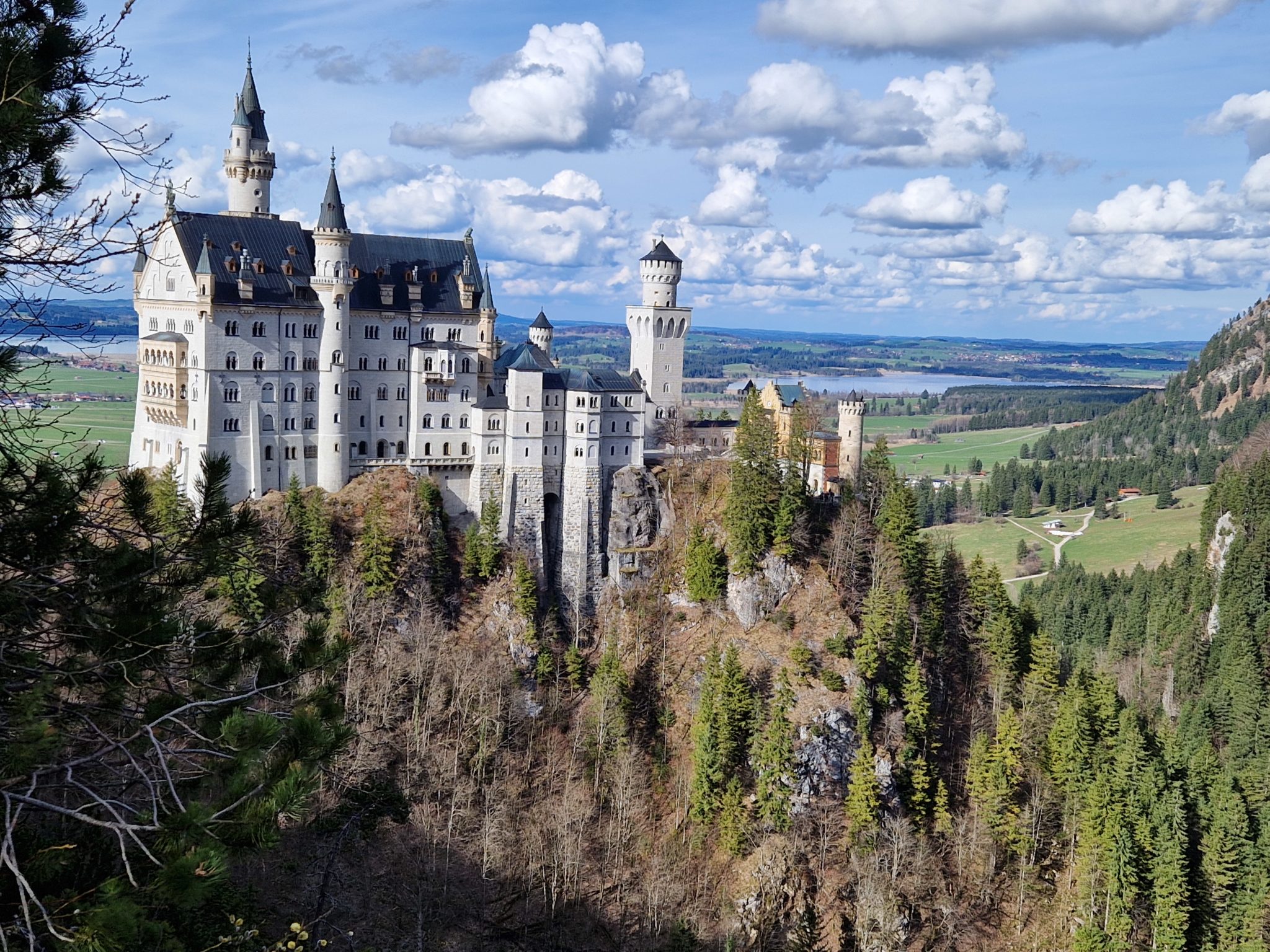 German Cultural Exchange - Collyer's