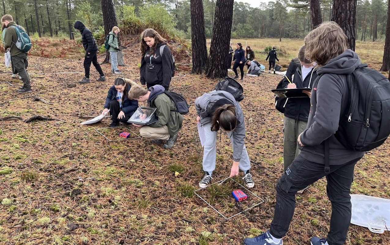 Students Enjoy Environmental Field Work - Collyer's